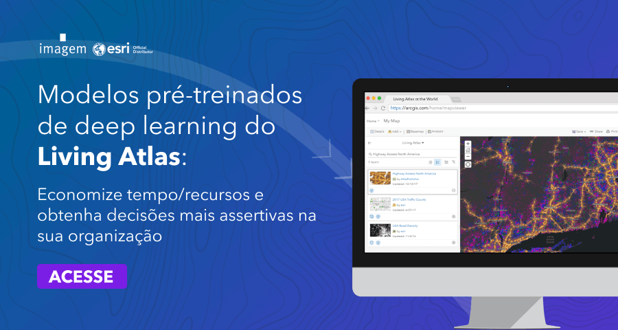 Explorando Modelos Pré-Treinados de Deep Learning no Living Atlas